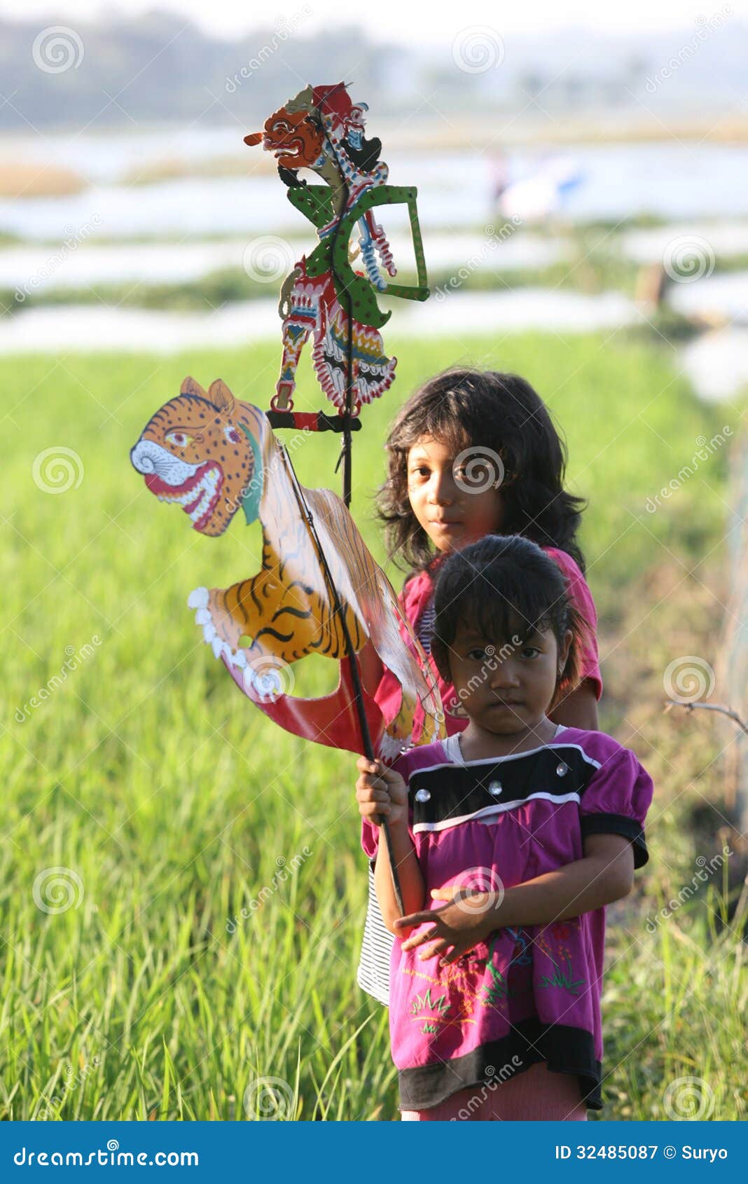 Playing puppet editorial photography. Image of plant - 32485087