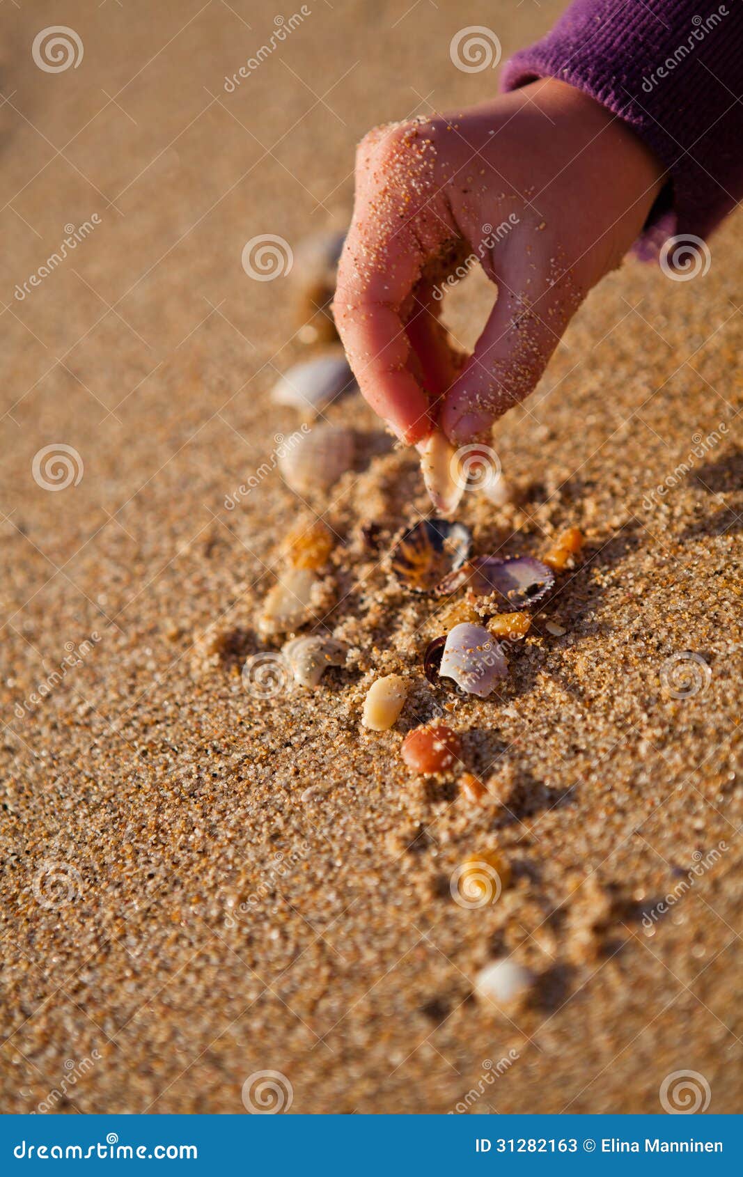 Playing with shells stock image. Image of closeup, shells - 31282163