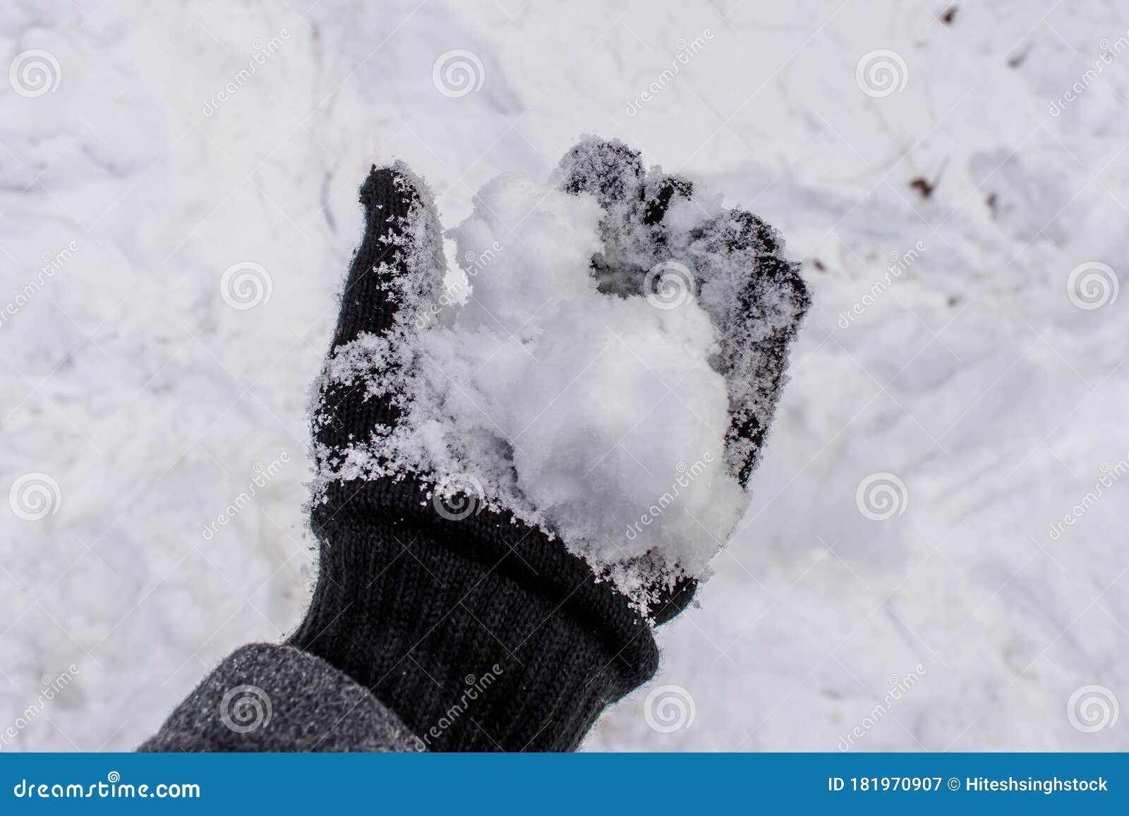 Playing with Snow in Hand, Winter Landscape Stock Image - Image of ...