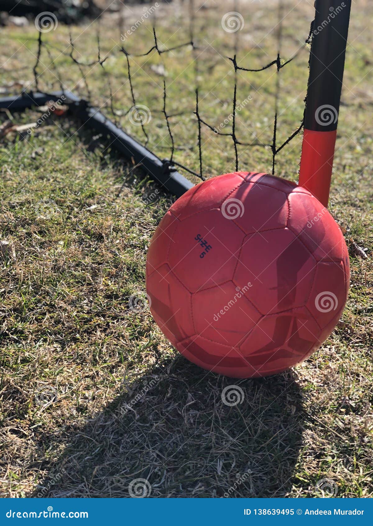 Playing soccer stock image. Image of football, goal - 138639495