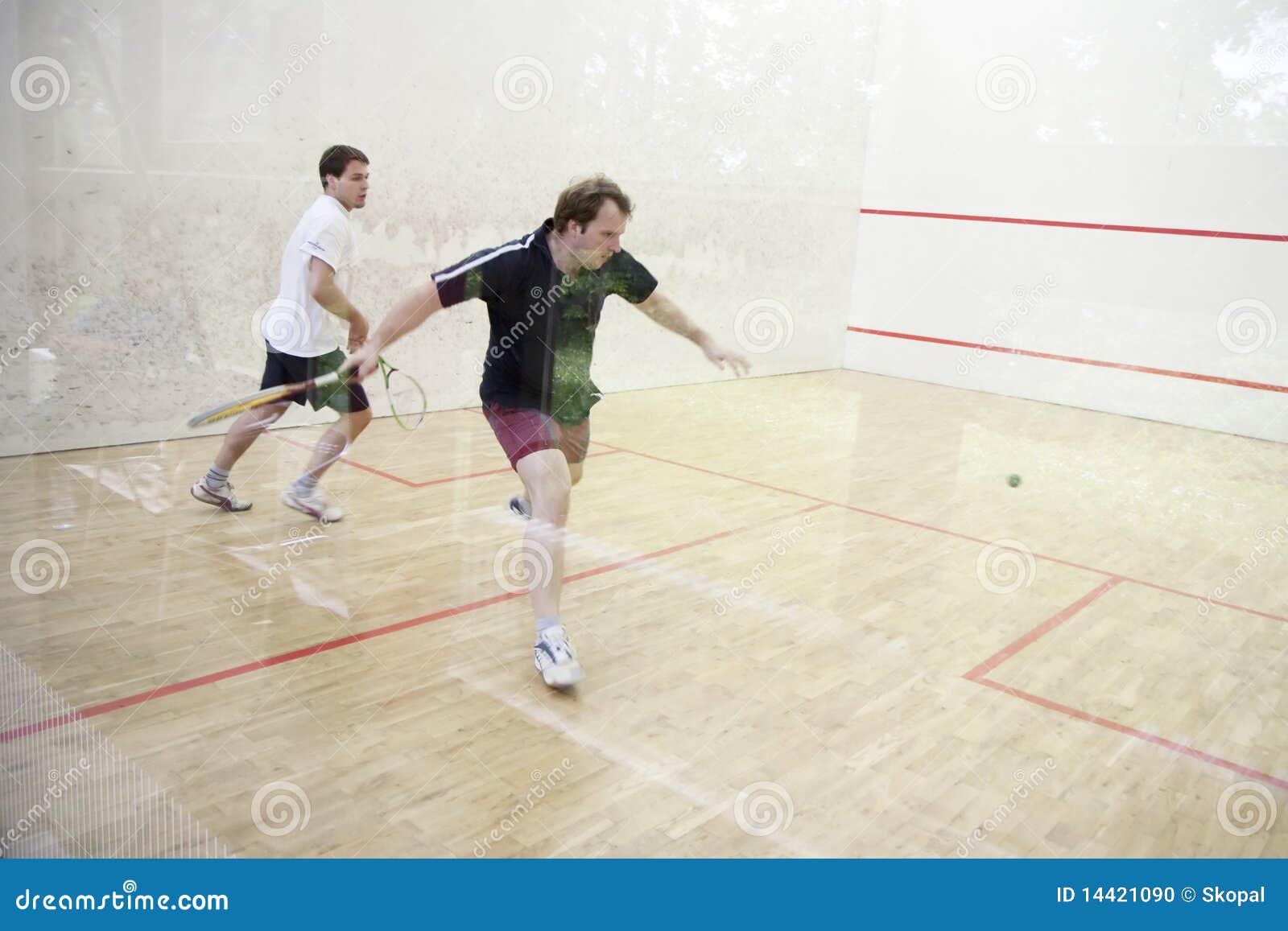 Playing squash stock photo. Image of ball, squash, hall - 14421090