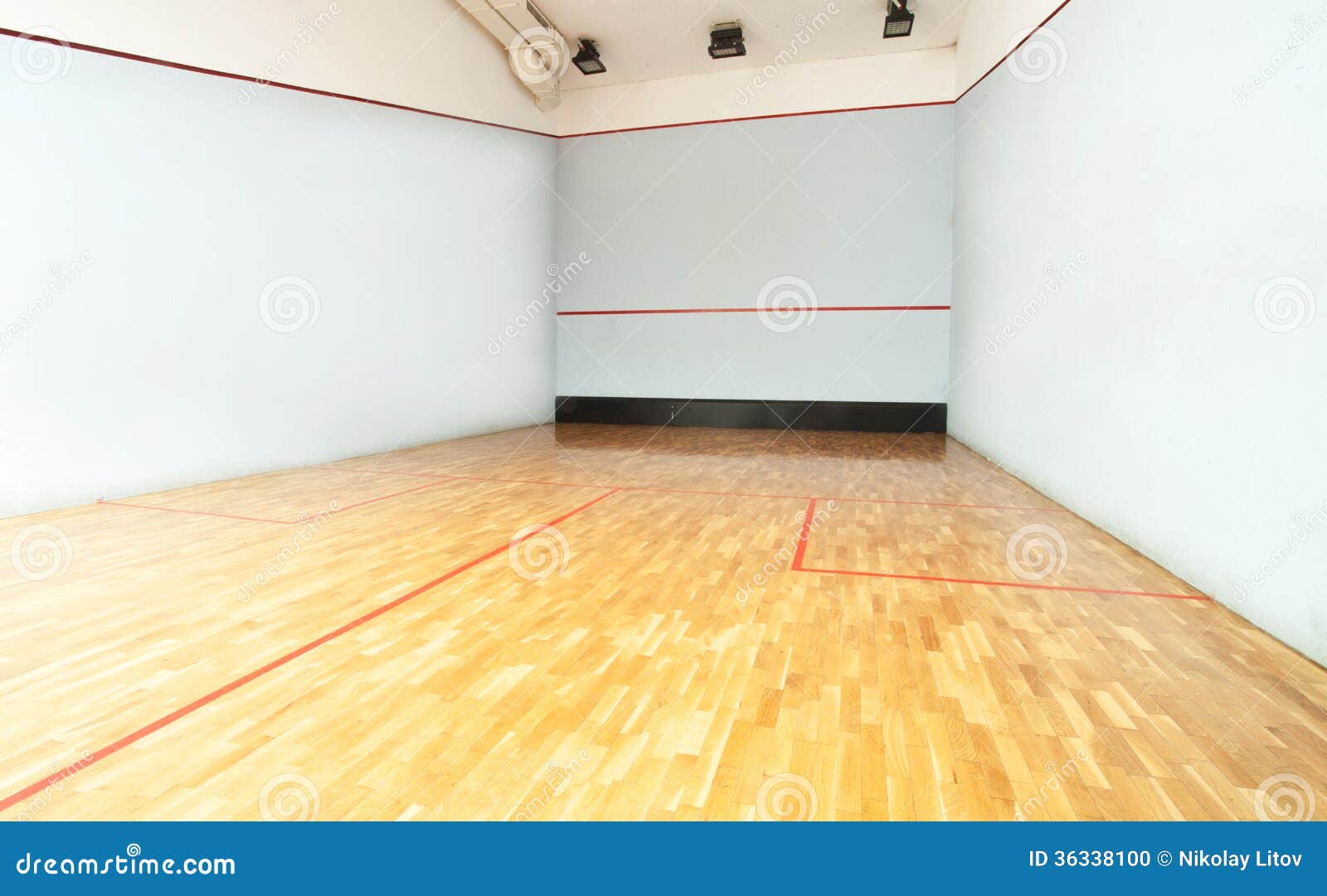 Playing Squash stock photo. Image of boundary, pursuit - 36338100