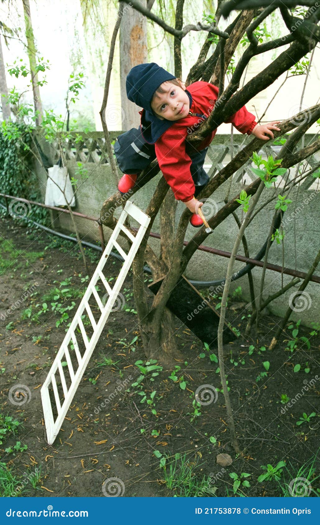 Playing in tree stock photo. Image of activity, exploration - 21753878
