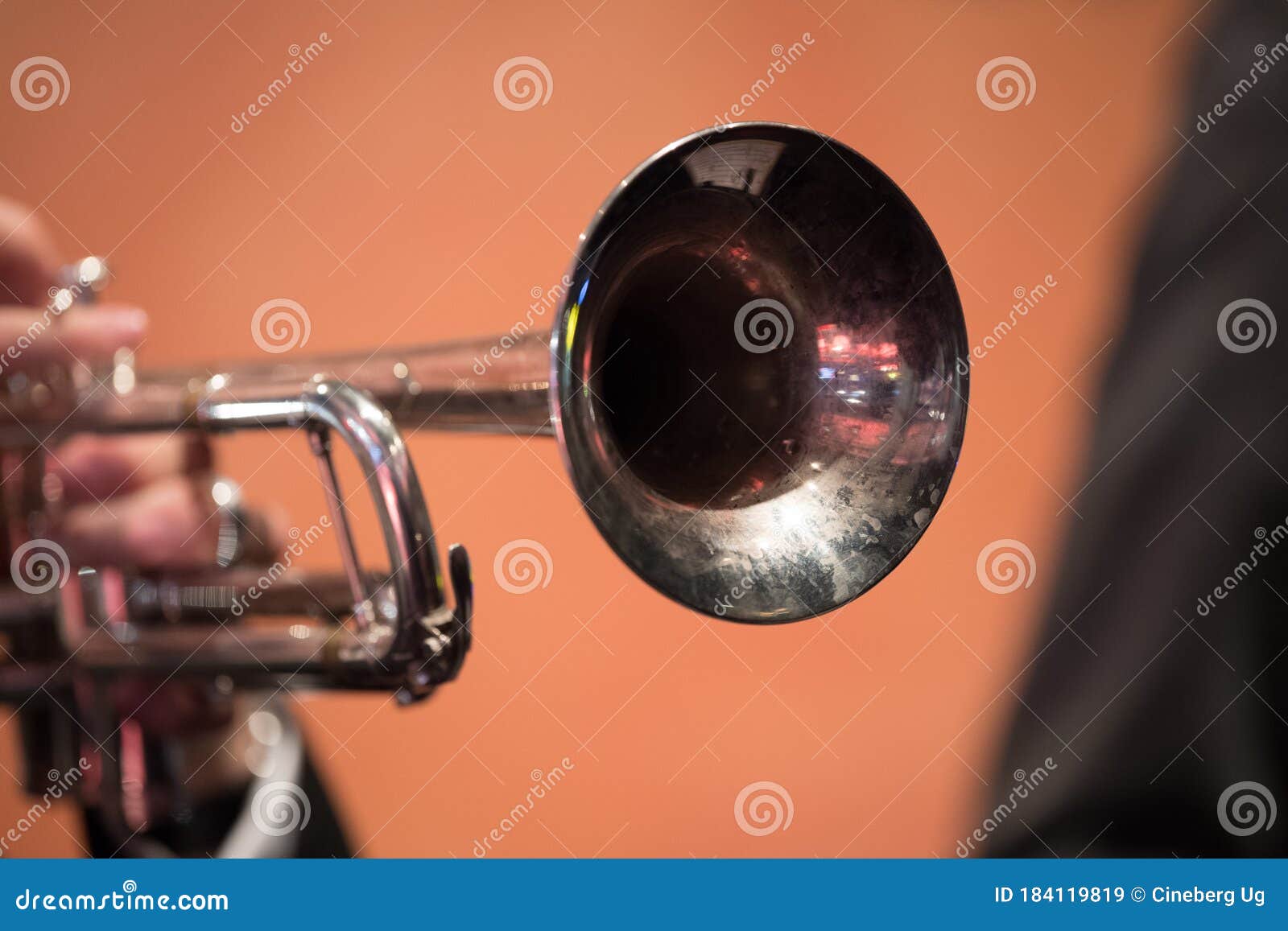 Playing trumpet stock image. Image of festival, artist - 184119819