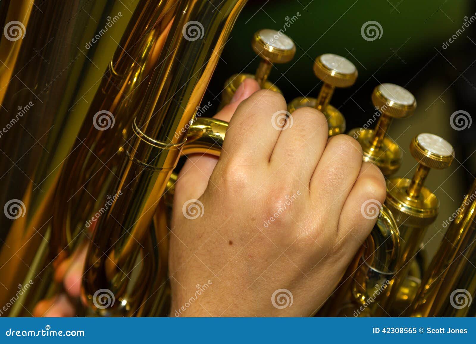 Playing a Tuba stock image. Image of alcohol, instrument - 42308565