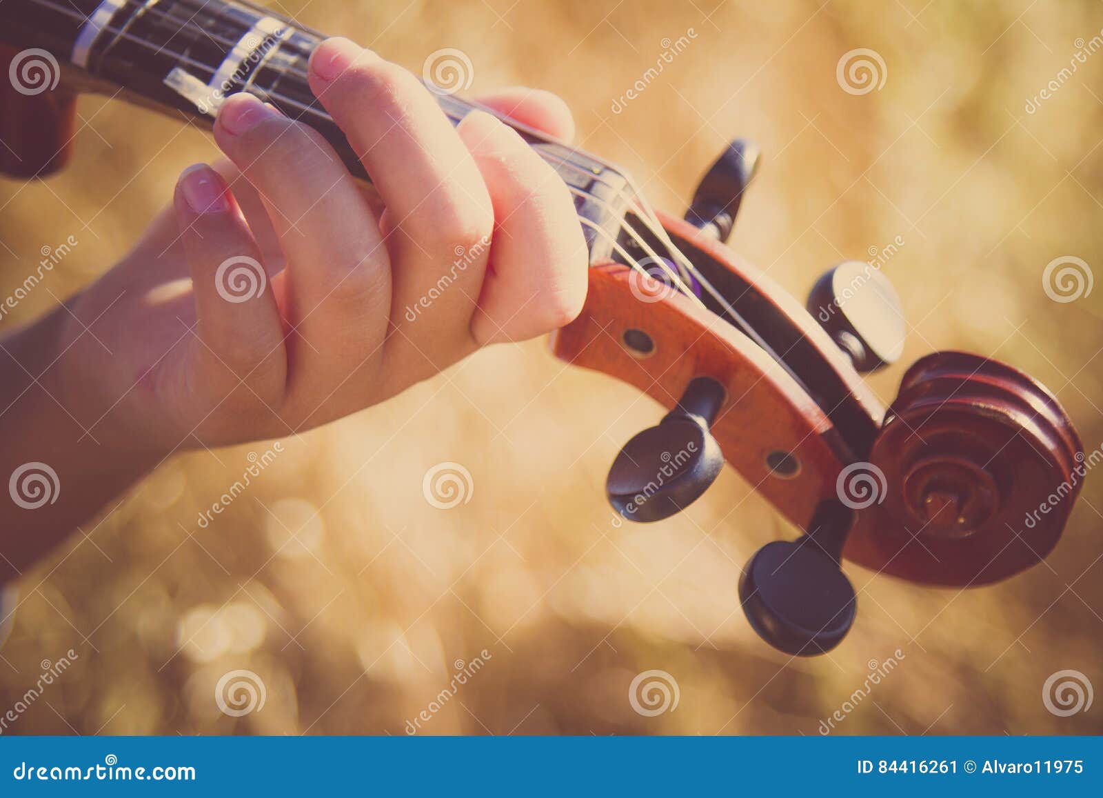 Playing the Viola stock image. Image of music, fingerboard - 84416261