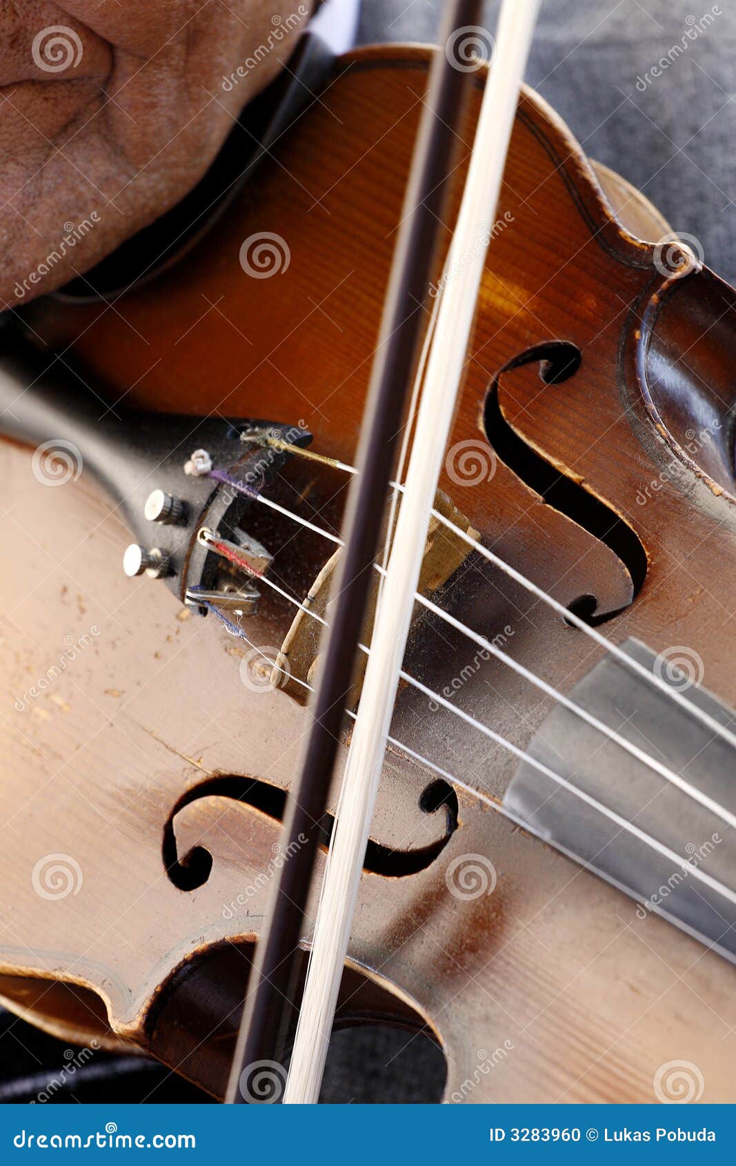 Playing the violin stock photo. Image of musician, gipsy - 3283960