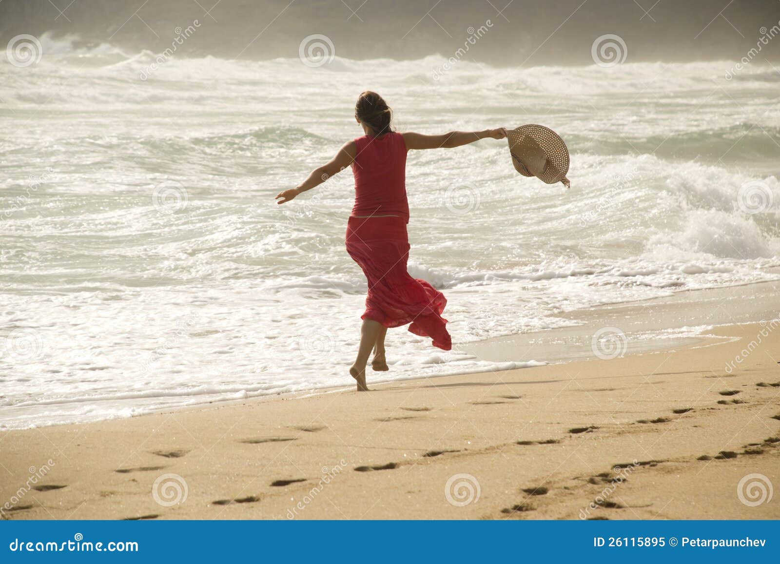 Playing with the waves stock image. Image of beauty, lifestyle - 26115895