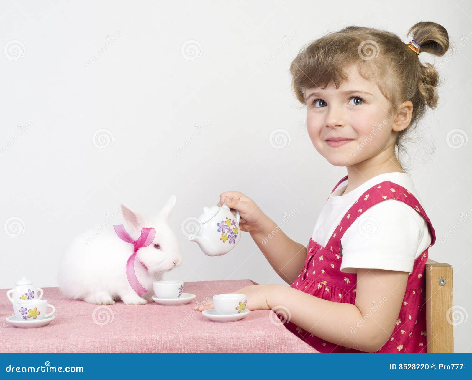 Playing with white rabbit stock photo. Image of adorable - 8528220