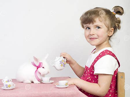 Playing with white rabbit stock photo. Image of adorable - 8528220