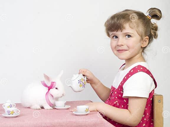 Playing with white rabbit stock photo. Image of adorable - 8528220