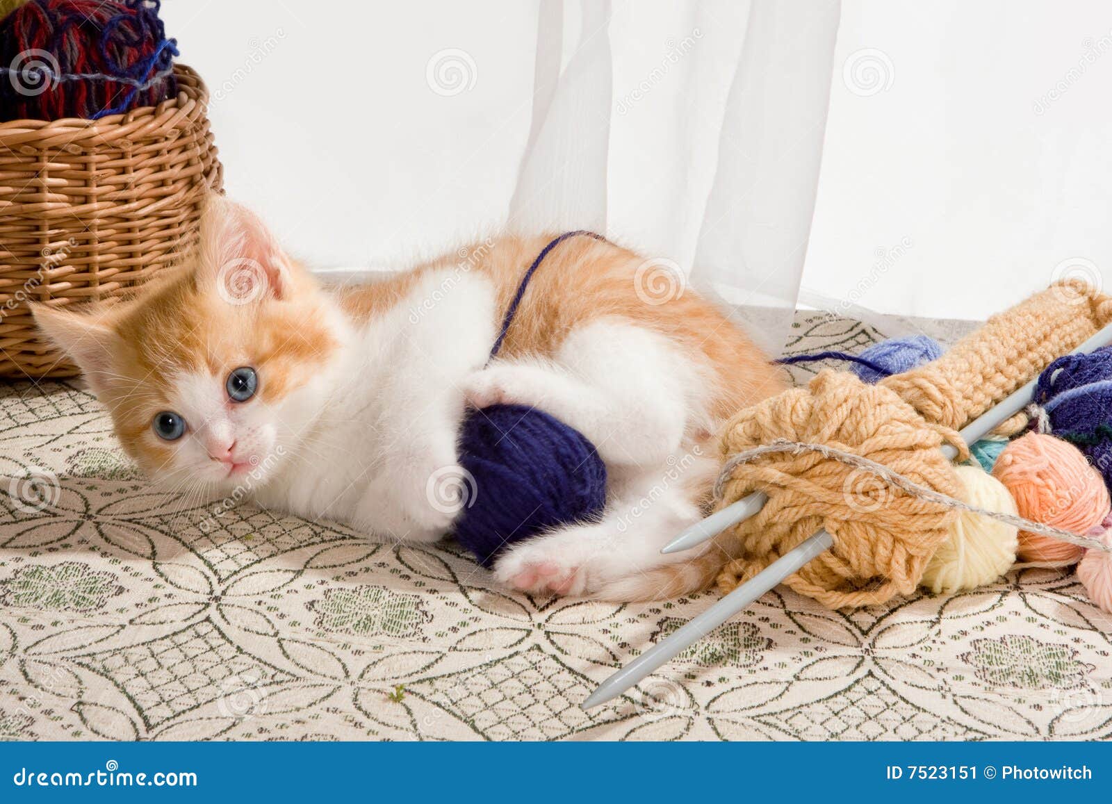 Playing with wool stock image. Image of playing, cats - 7523151