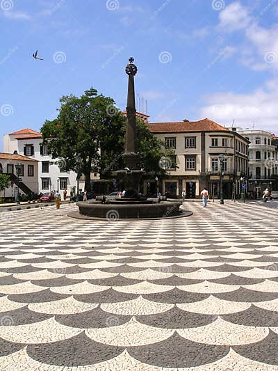 Plaza stock photo. Image of plaza, pigeon, place, mosaic - 1492560