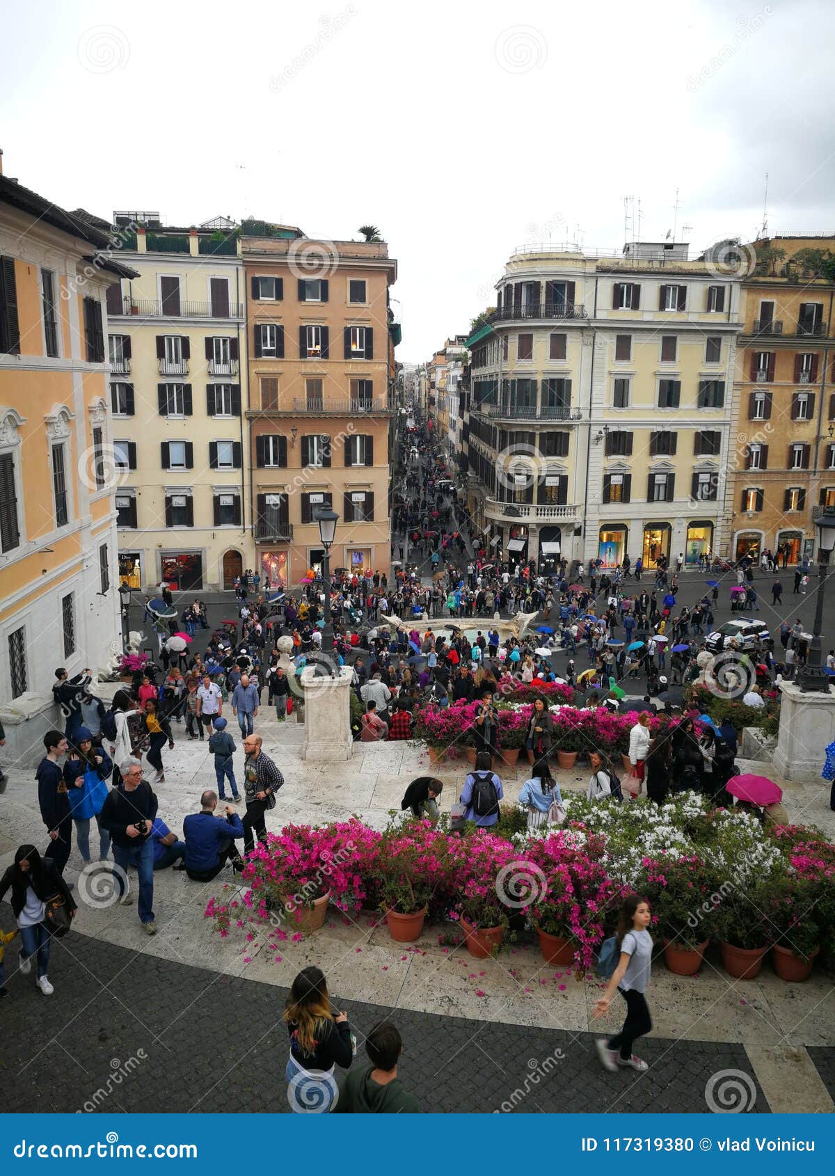 Plaza De Spagna De Las Rosas De La Flor De Roma Imagen editorial ...