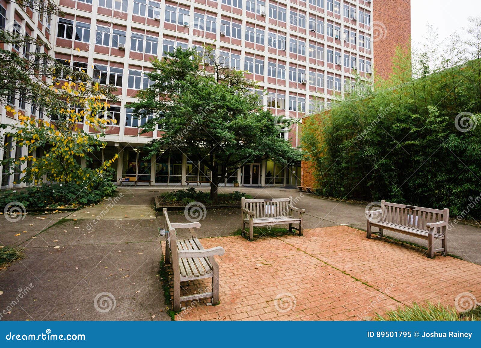 PLC Building Univerisyt of Oregon Campus Stock Image - Image of teach ...