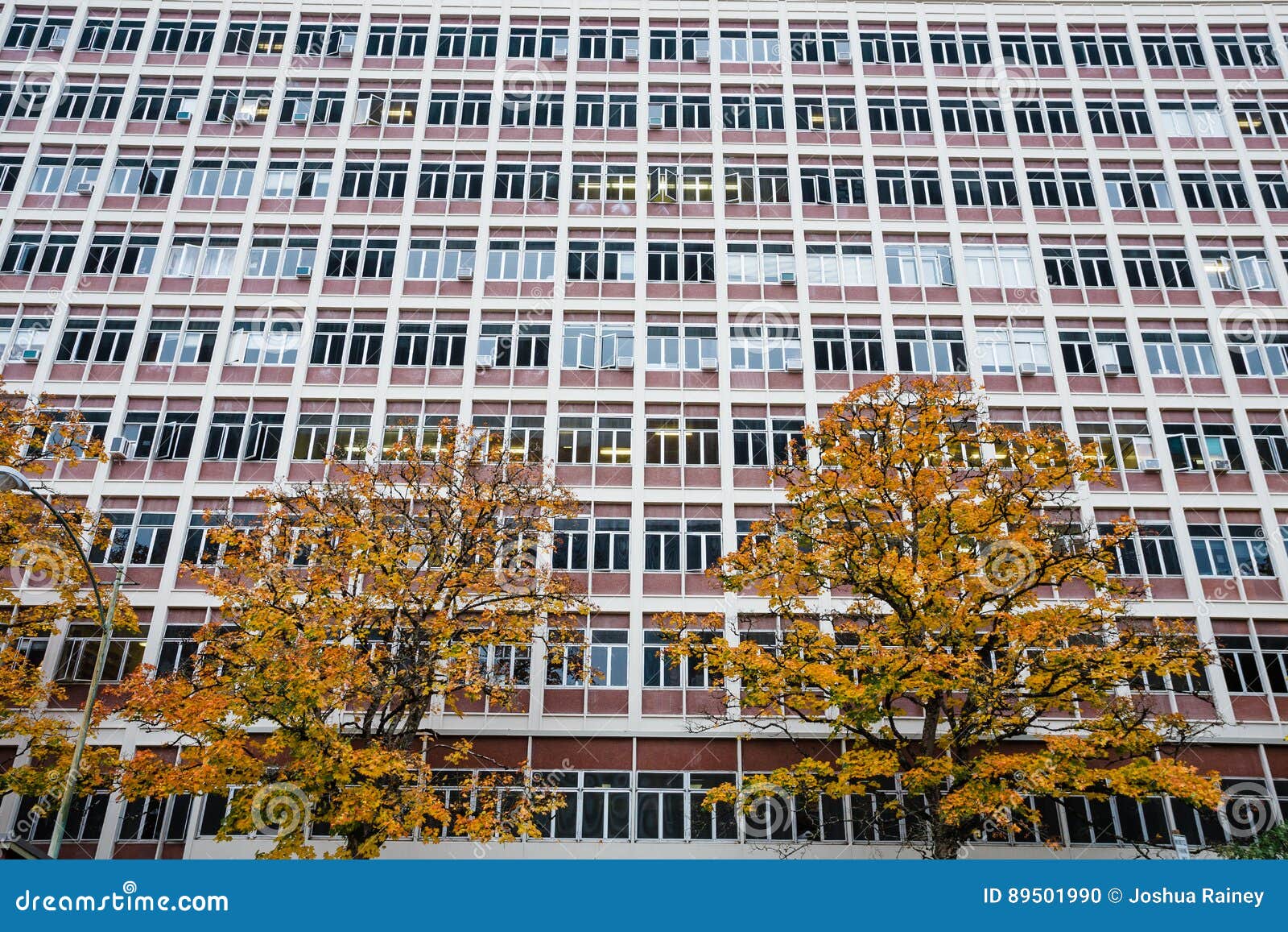 PLC Building Univerisyt of Oregon Campus Stock Photo - Image of higher ...