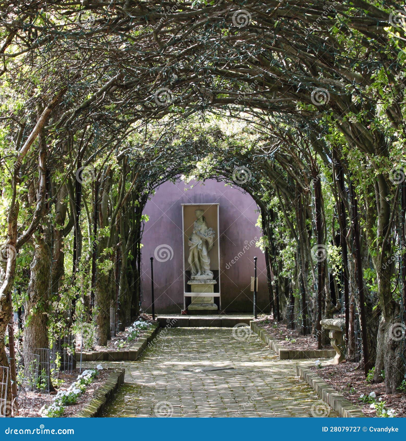 Pleached Allee Shenandoah Winchester VA Stock Image - Image of ...