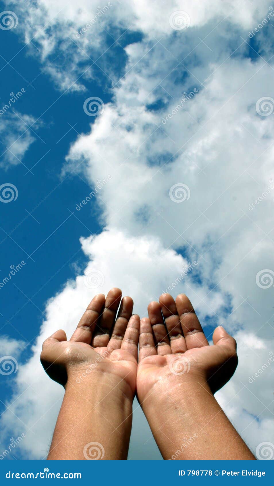 Pleading hands stock photo. Image of begging, appeal, crave - 798778