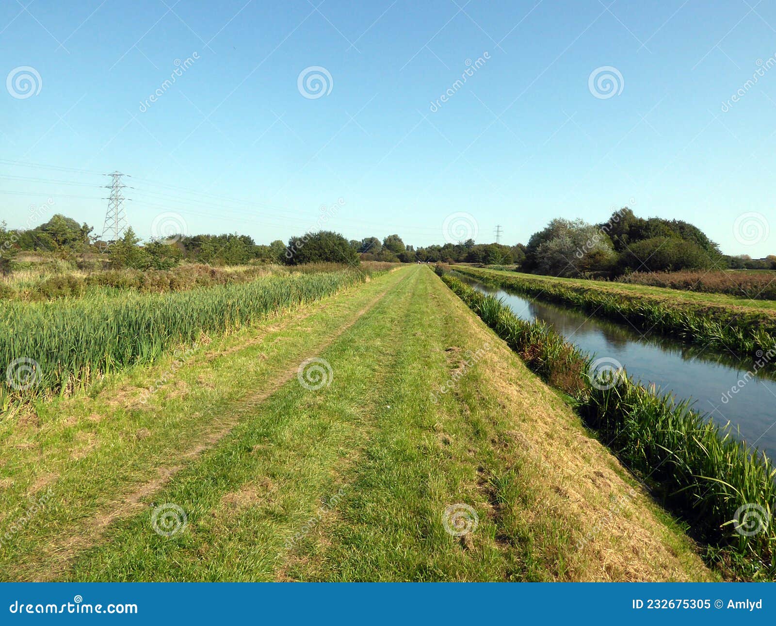 Wide grassy path by river stock image. Image of north - 232675305