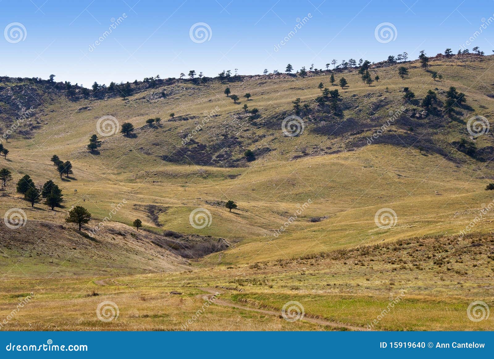 Pleasant Valley in the Rocky Mountain Foothills Stock Photo - Image of ...