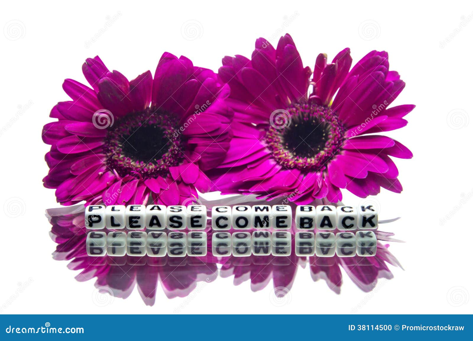 Please come back stock photo. Image of message, greetings - 38114500