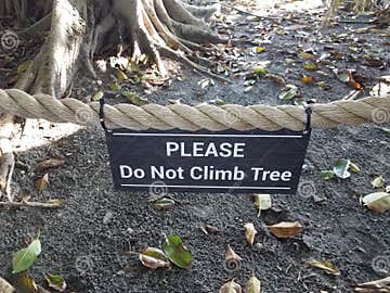 Please Do Not Climb Tree Sign on Rope with Tree Root Stock Photo ...