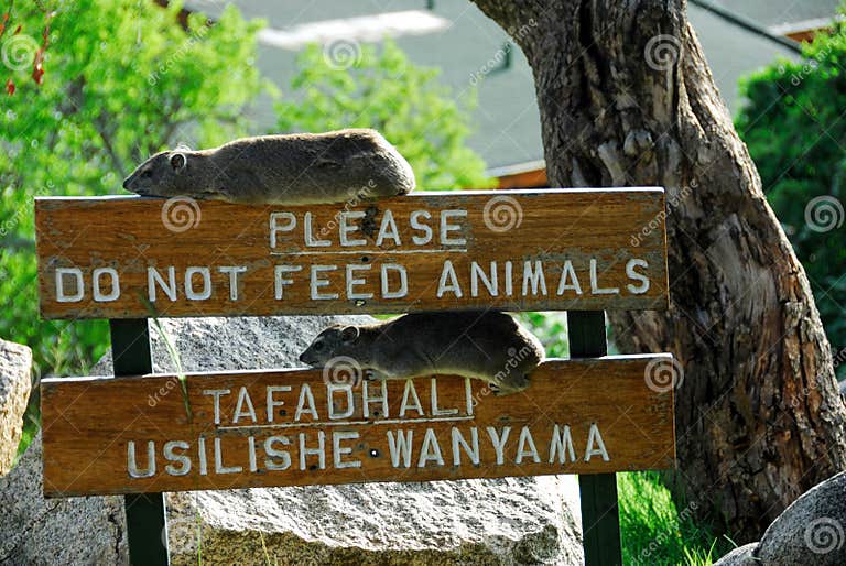 Please do not feed animals stock photo. Image of nature - 6291218