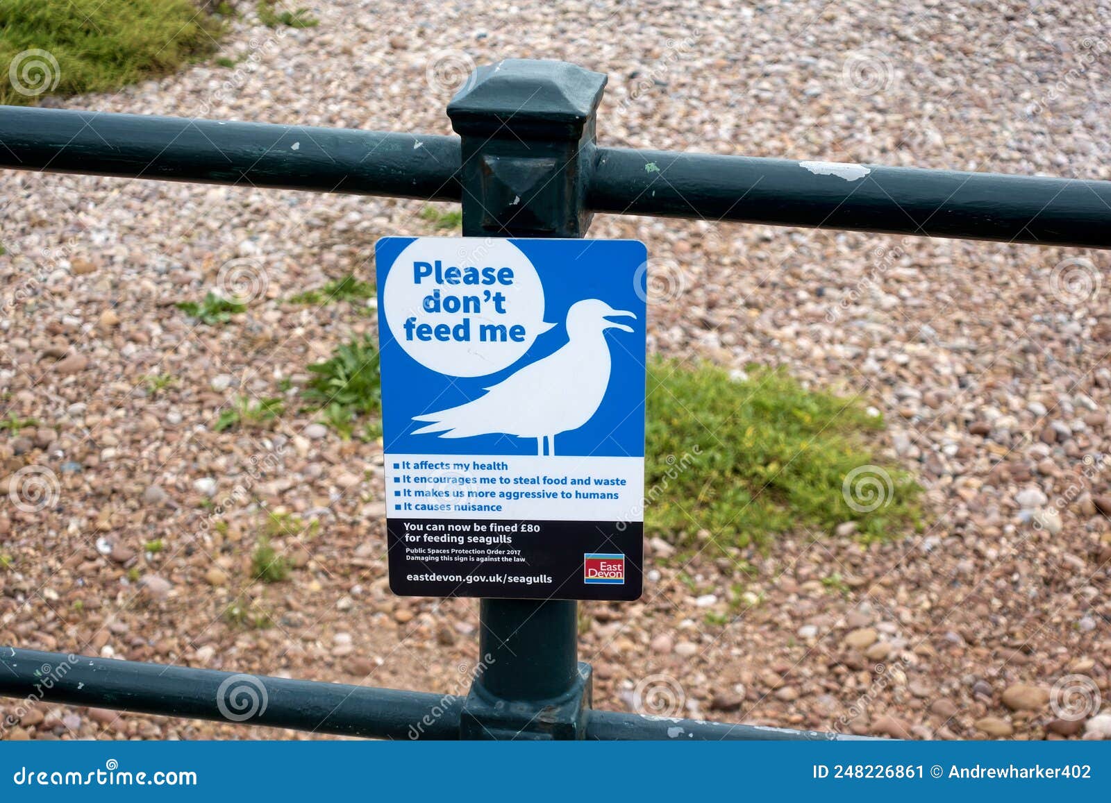 Please Don`t Feed Me Seagull Sign Editorial Photo - Image of management ...