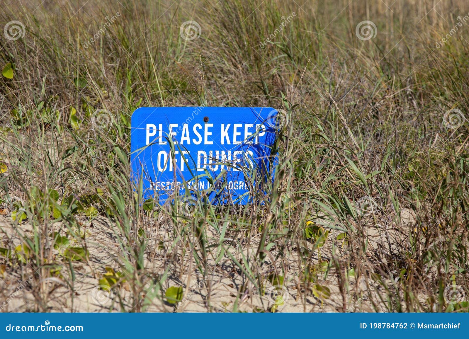 PLEASE KEEP OFF the DUNES stock photo. Image of environment - 198784762