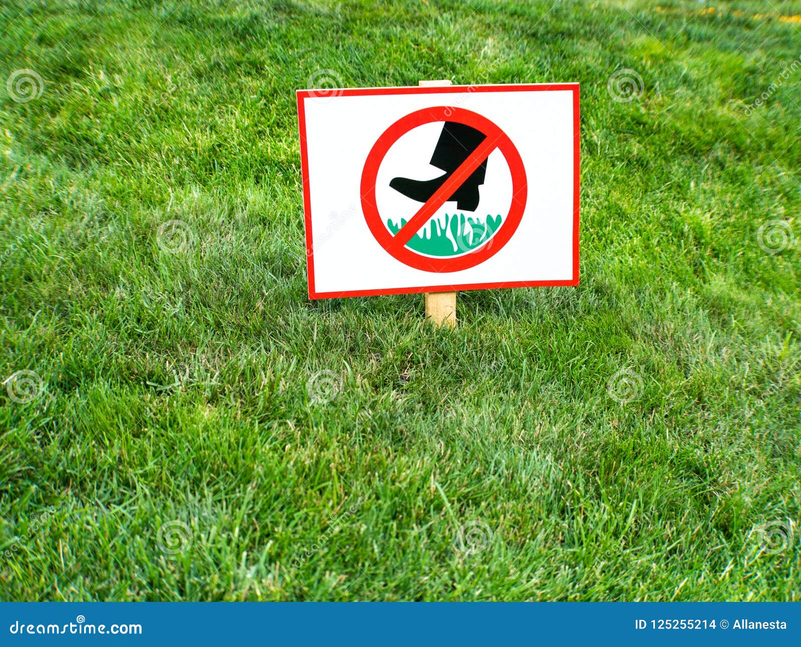 Please Keep Off the Grass Sign Attention Stock Photo - Image of nature ... Please Keep Off the Grass Sign Attention Stock Photo - Image of nature ...
