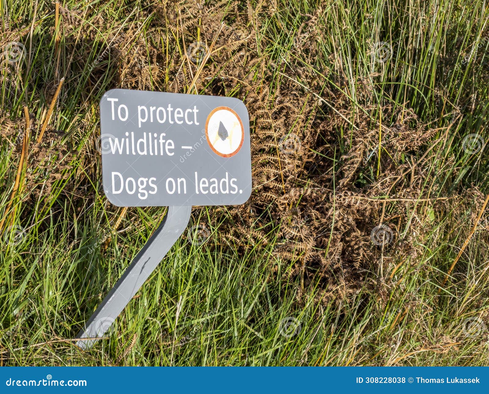 Please Keep Your Dog on a Lead Information To Protect Wildlife Stock ...