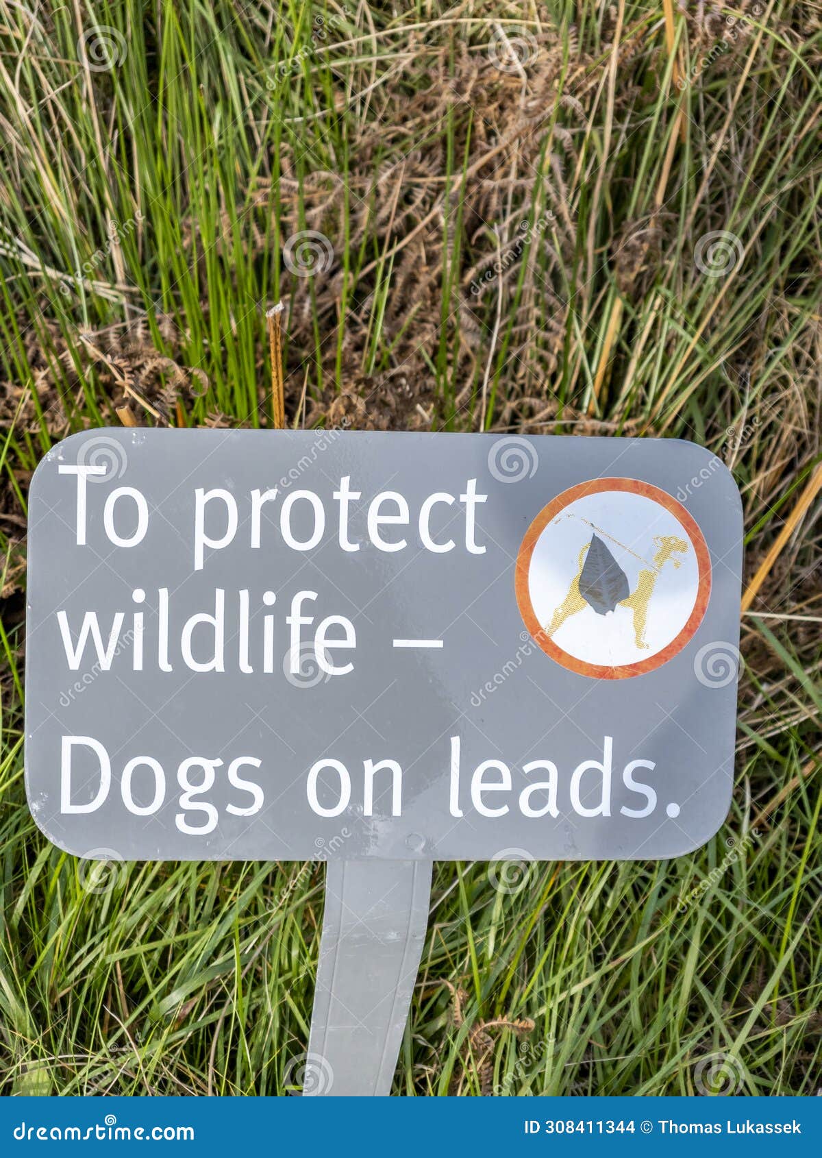 Please Keep Your Dog on a Lead Information To Protect Wildlife Stock ...