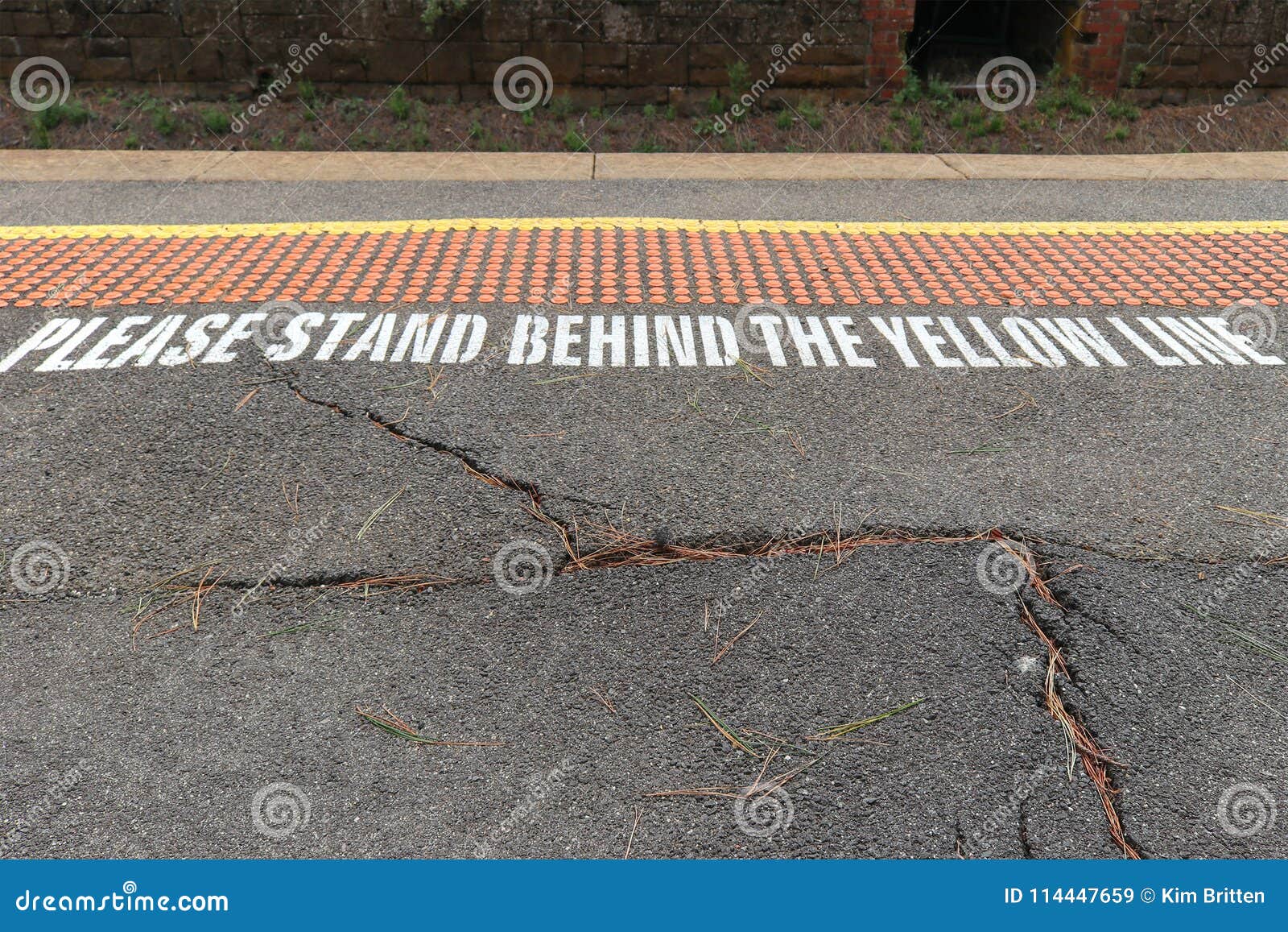 Please Stand Behind the Yellow Line Safety Instruction on a Train ...