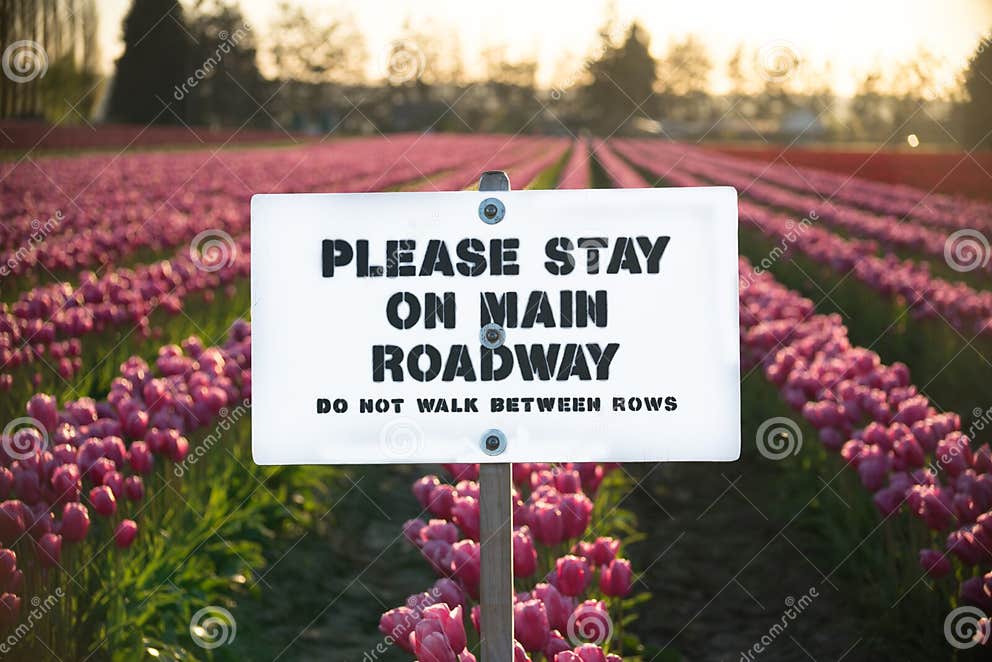 Please Stay on Main Roadway Stock Photo - Image of flower, advisory ...