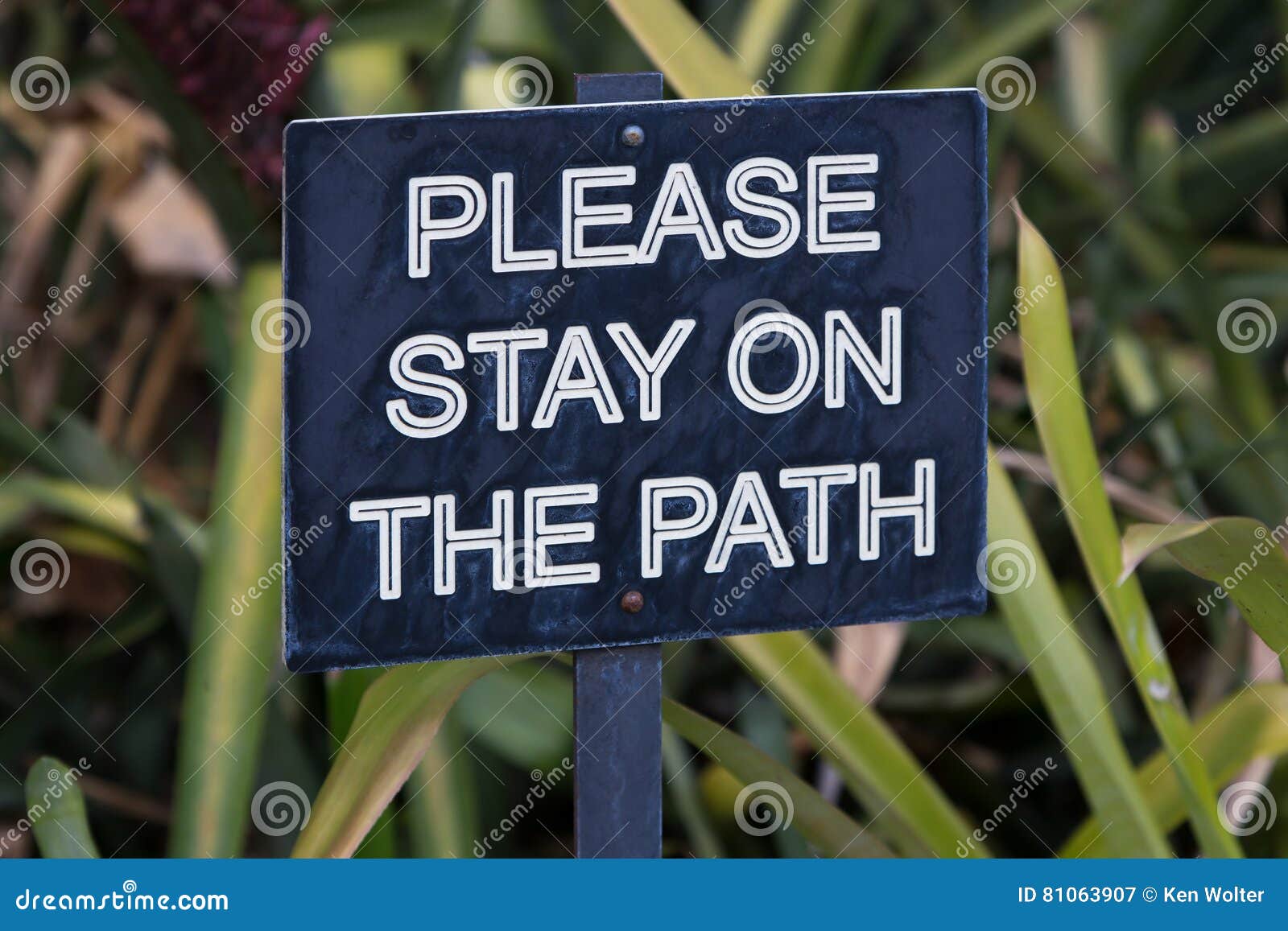 Please Stay on Path Sign stock image. Image of entry - 81063907