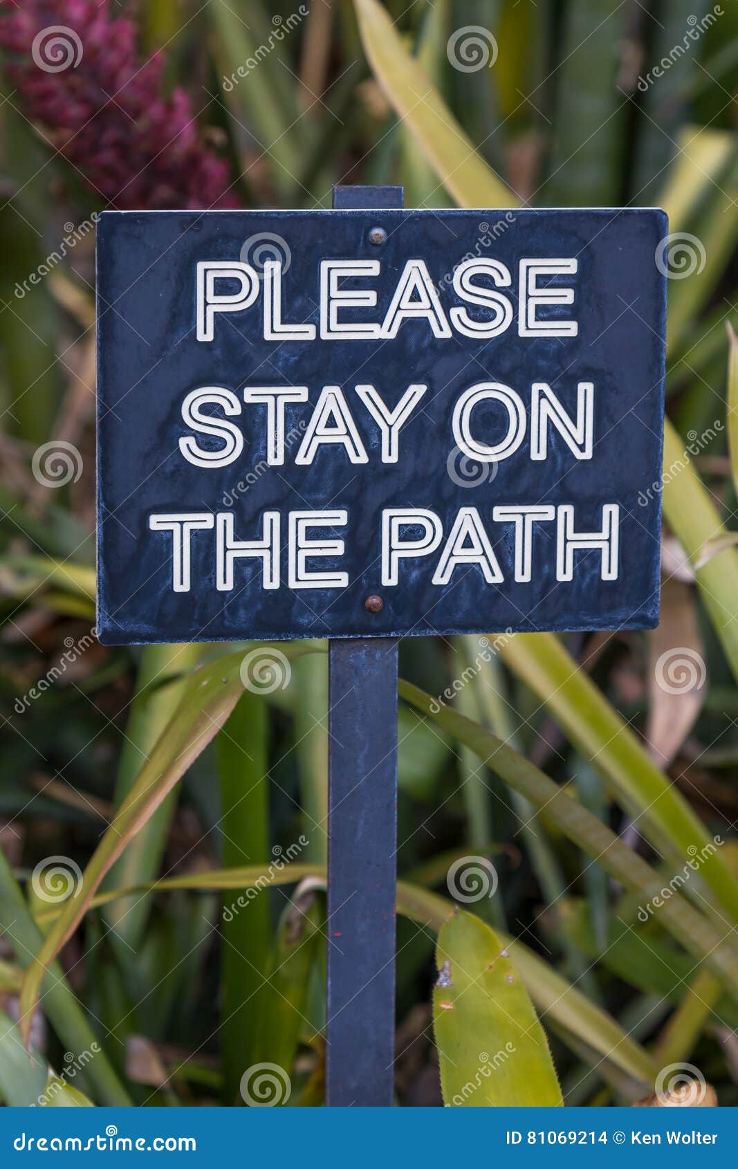 Please Stay on Path Sign stock photo. Image of park, fields - 81069214