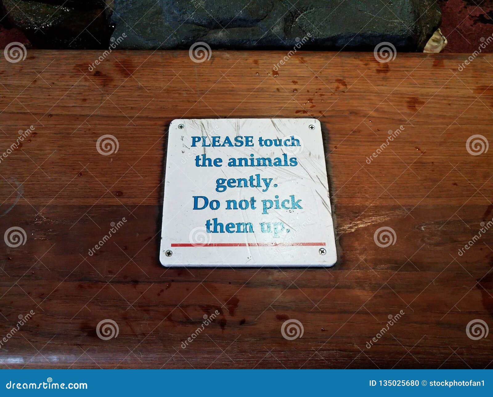 Please Touch the Animals Gently Do Not Pick Them Up Sign Stock Photo ...