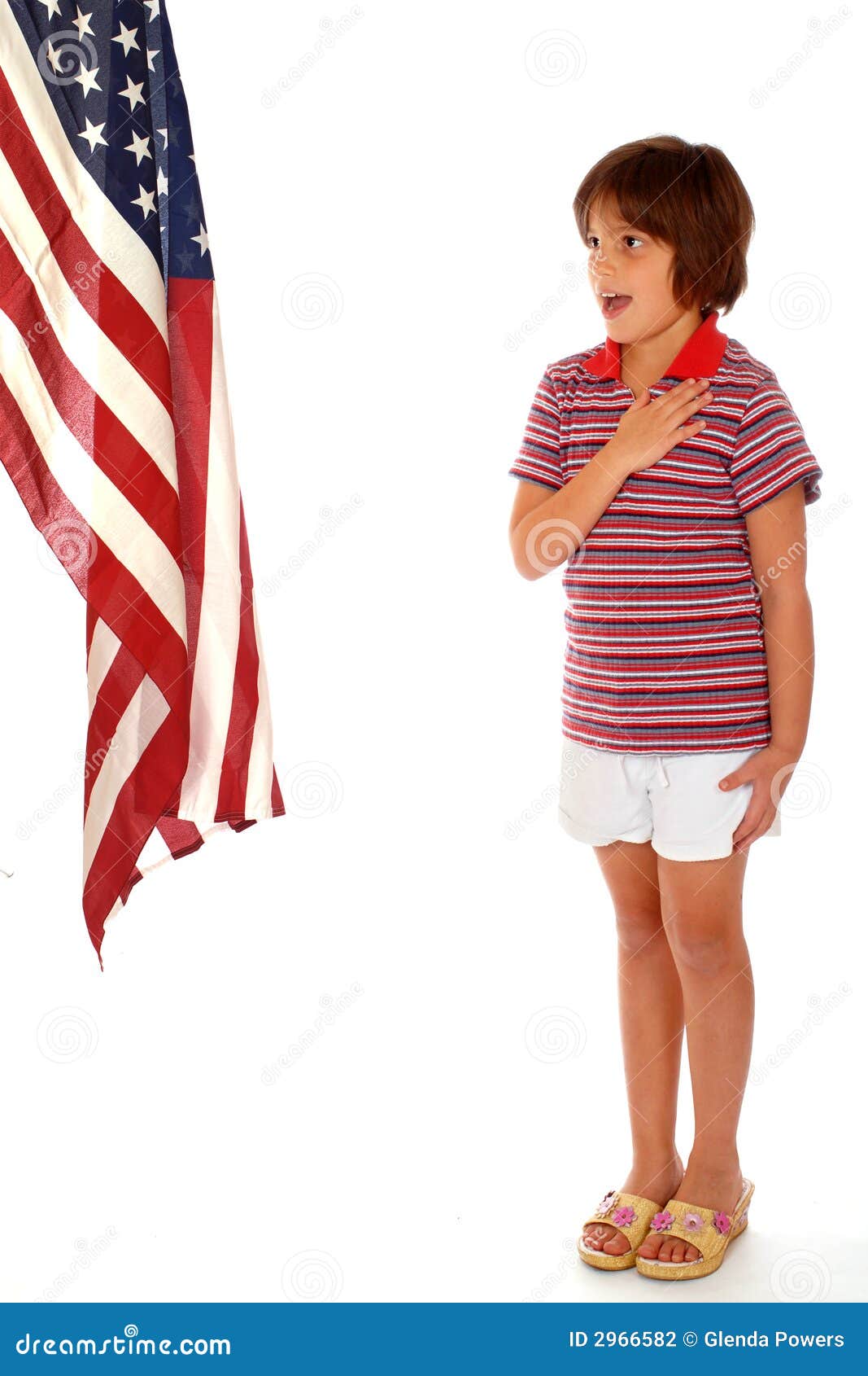 Pledge of Allegiance stock photo. Image of honor, stripes - 2966582