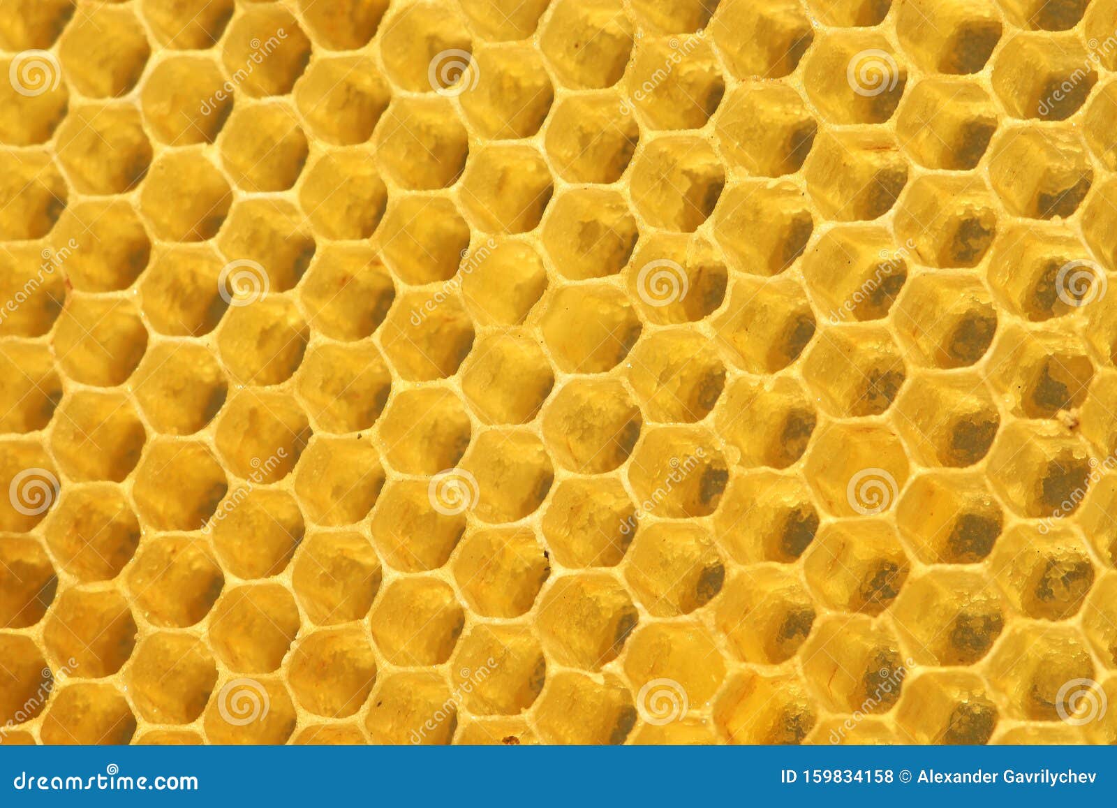 Empty Frame with Honeycombs, Closeup Stock Photo - Image of farm, bees ...