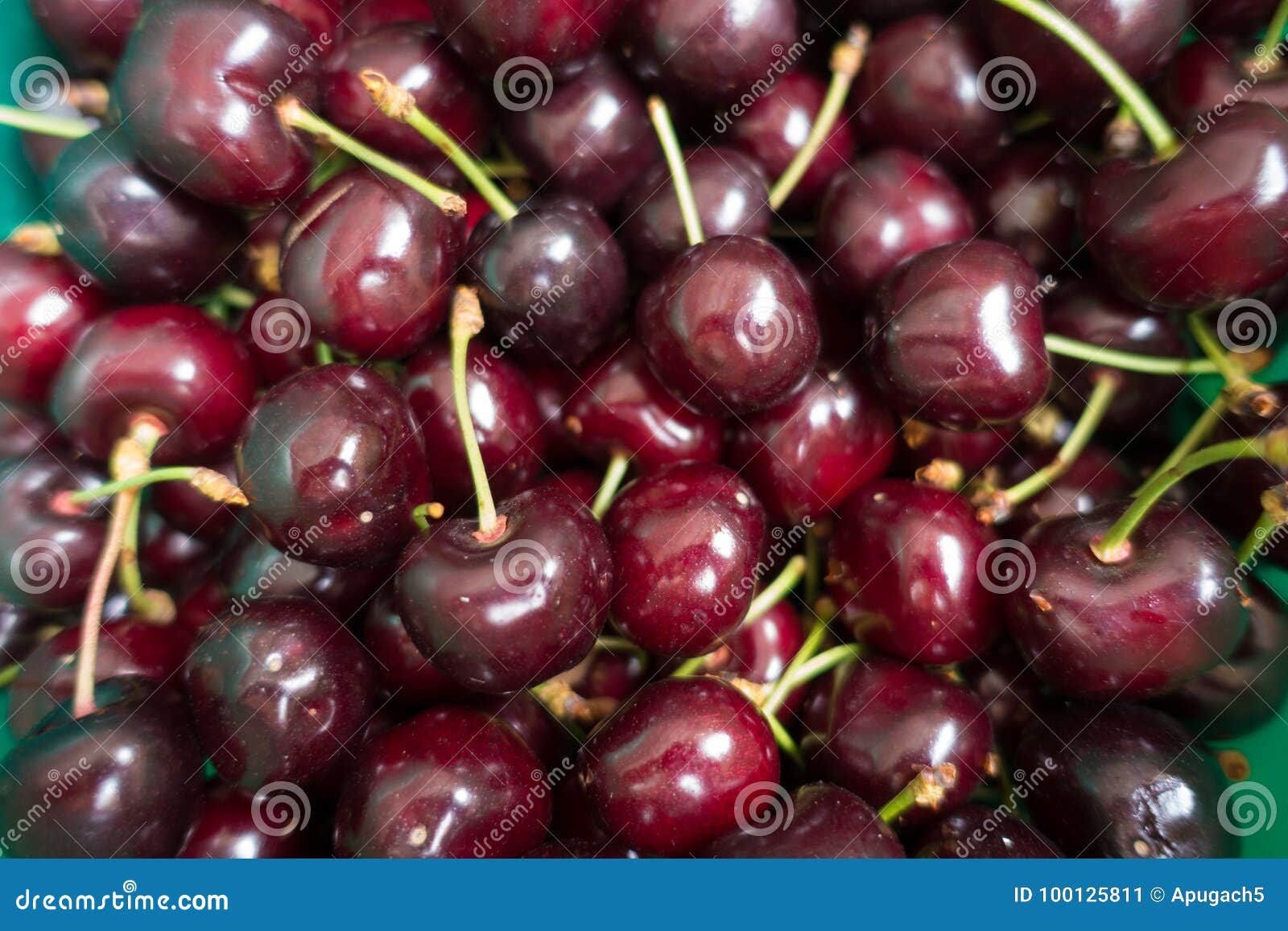 Plenty Of Fresh Purple Ripe Sweet Cherries Stock Image - Image of fruit ...