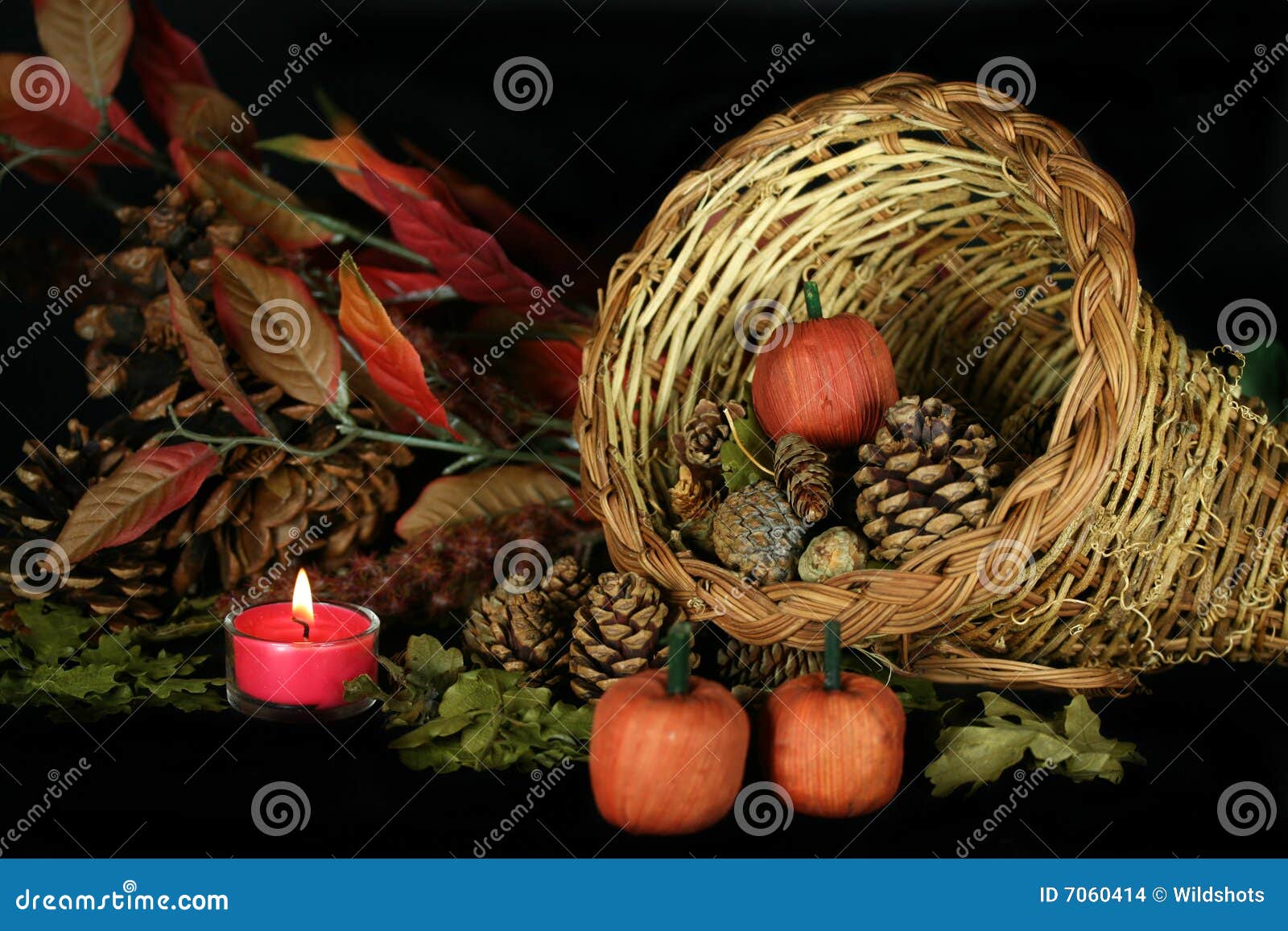 Plenty-full stock photo. Image of fall, isolated, festive - 7060414