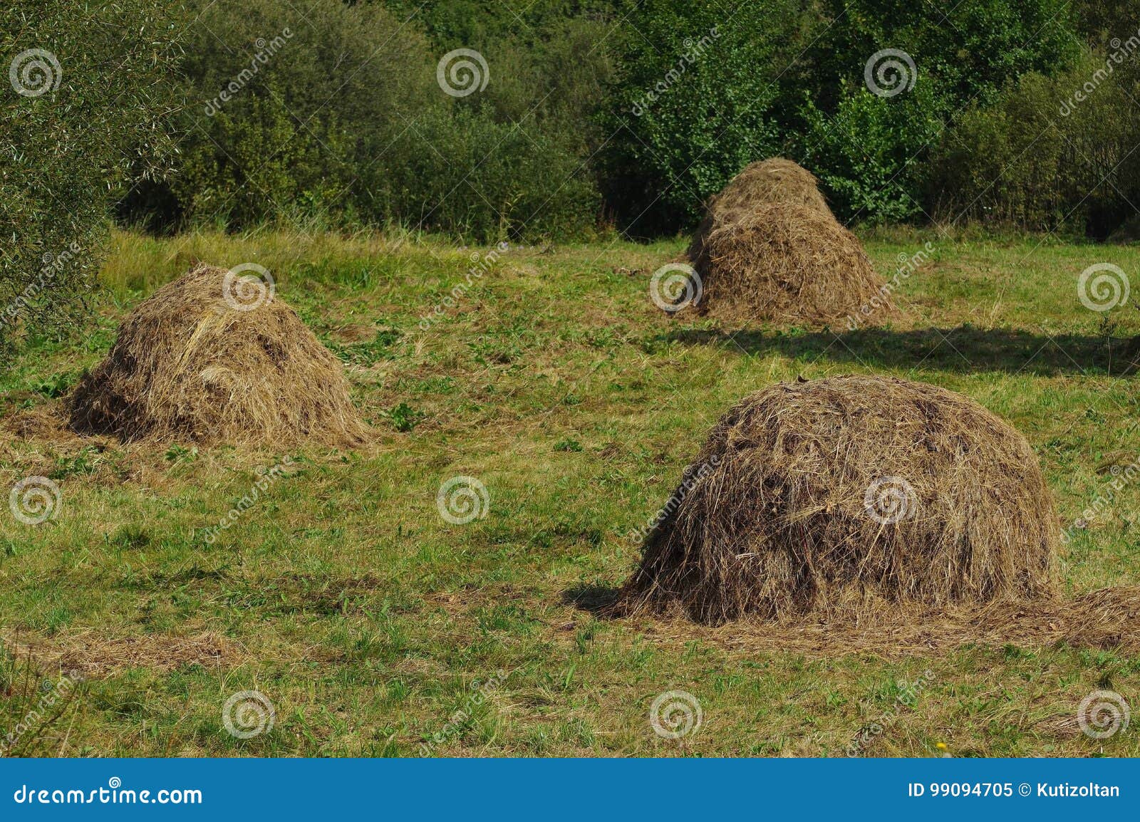 Hayrick stock image. Image of country, bright, field - 99094705