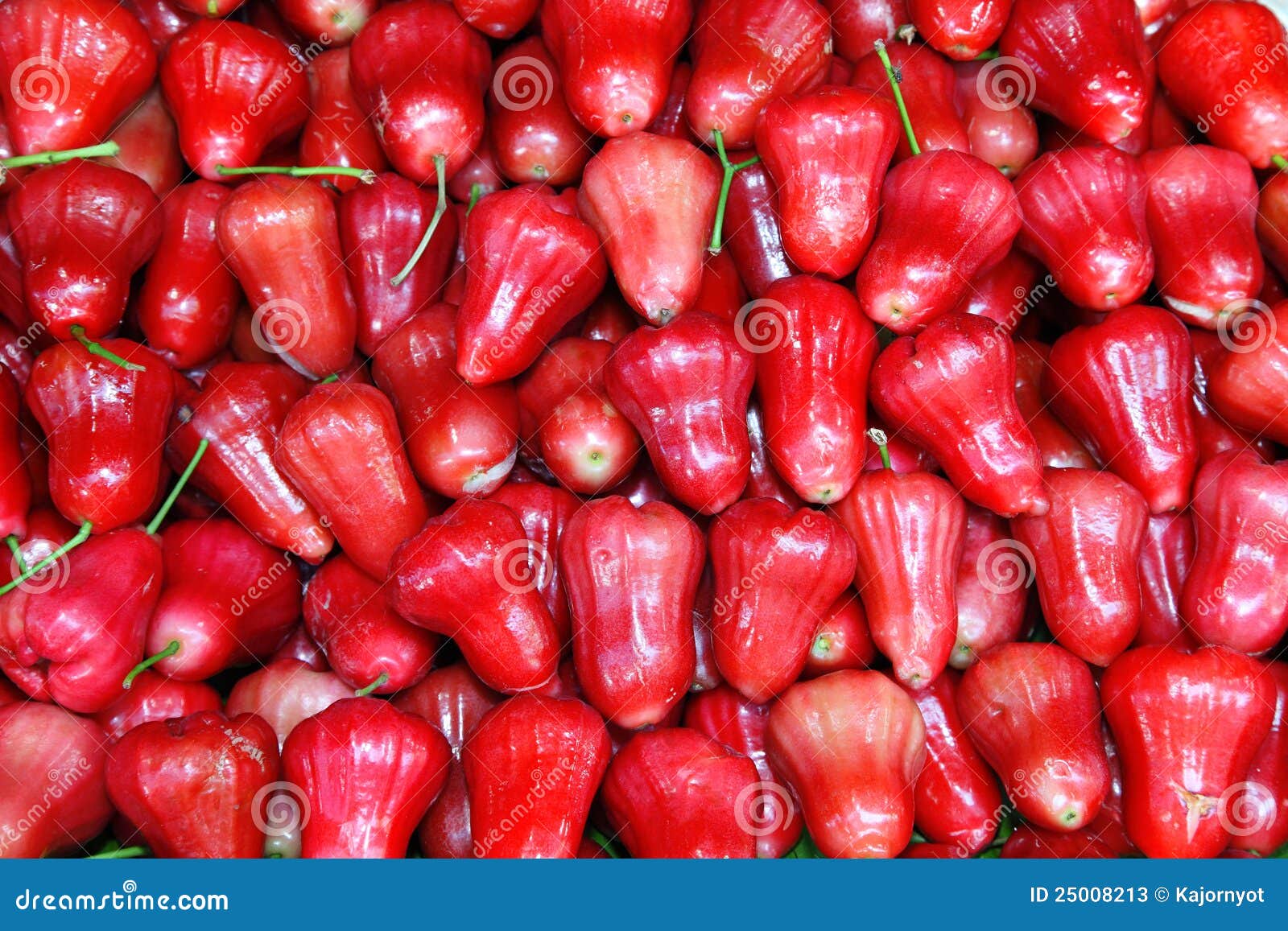 Plenty of Rose Apple in Thailand Stock Image - Image of samarangense ...