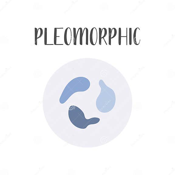 Pleomorphic. Bacteria Classification. Irregular Shapes of Bacteria ...