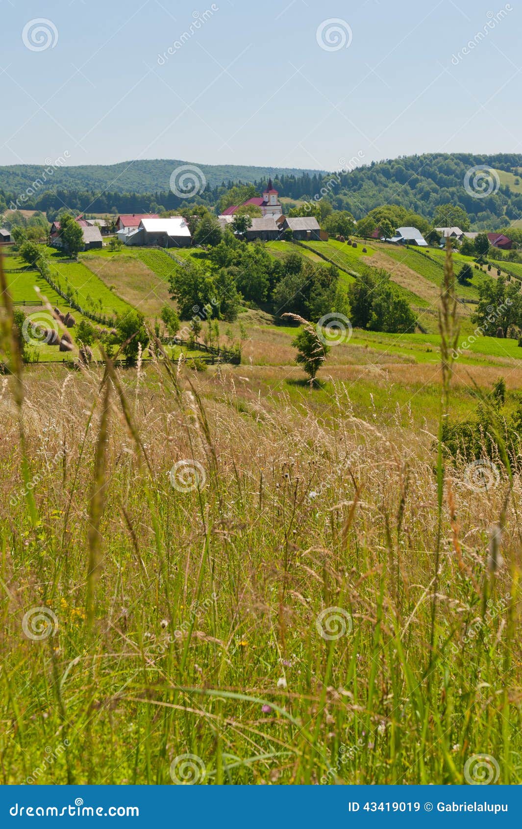 Plesa stock image. Image of fall, orange, pastel, autumn - 43419019