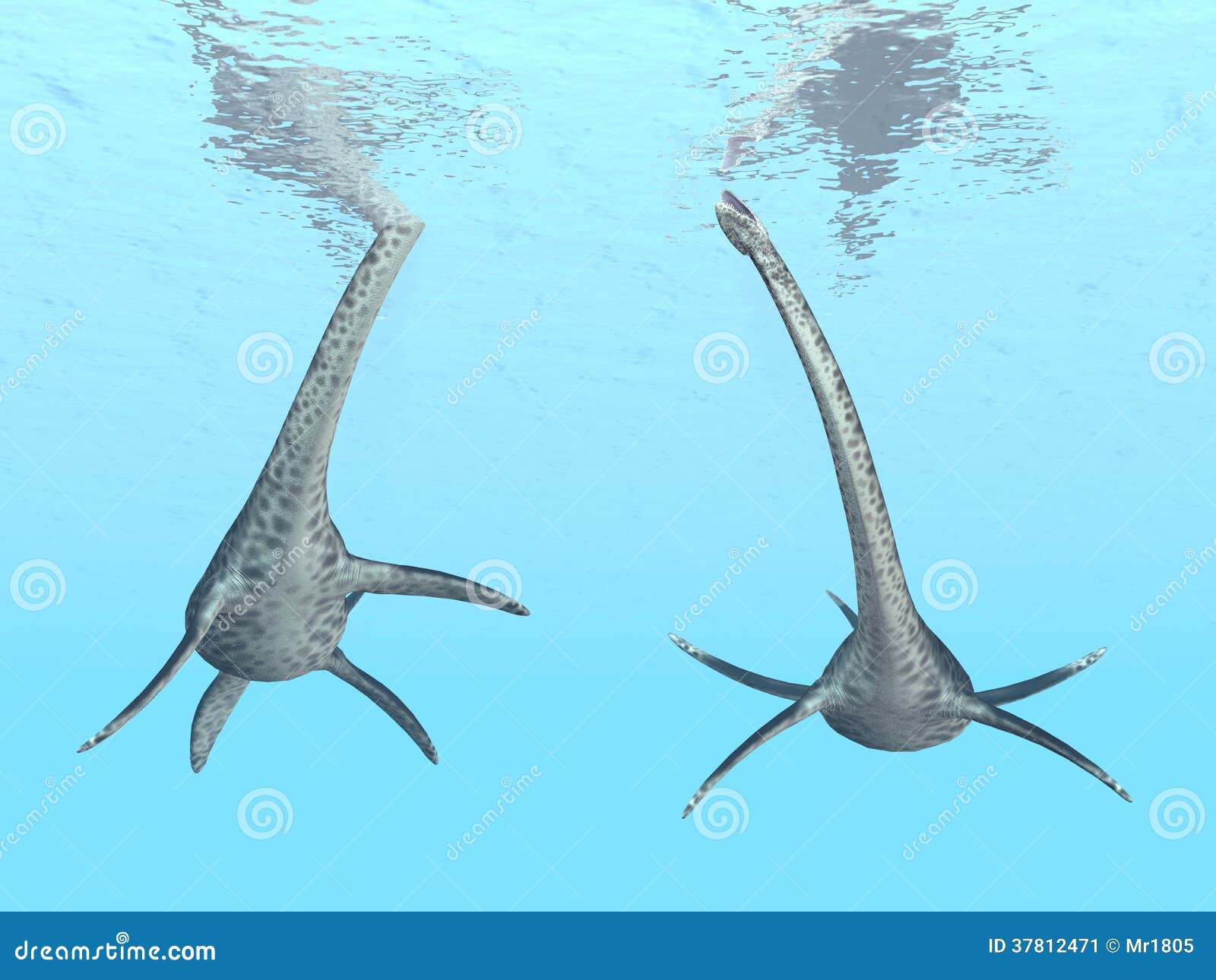 Styxosaurus Stock Image | CartoonDealer.com #81800821