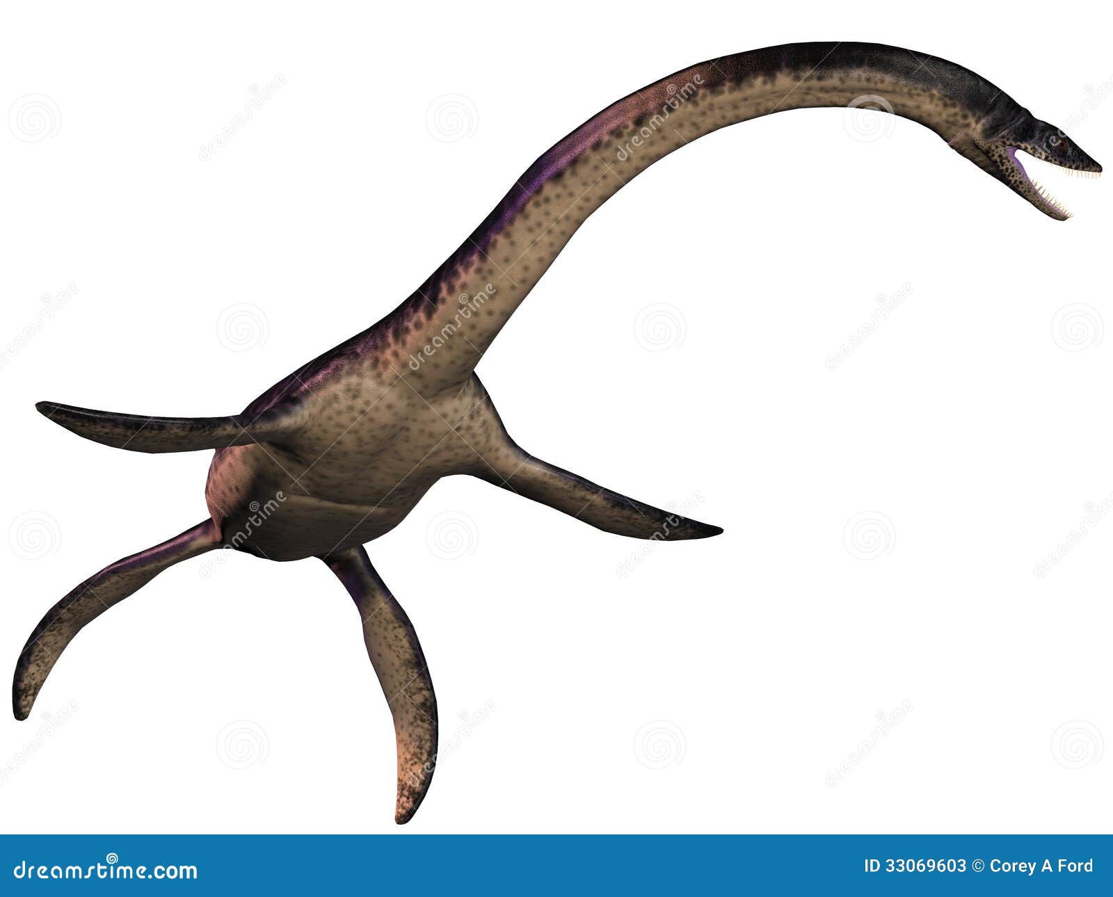 Plesiosaurus auf Weiß stock abbildung. Illustration von bild - 33069603