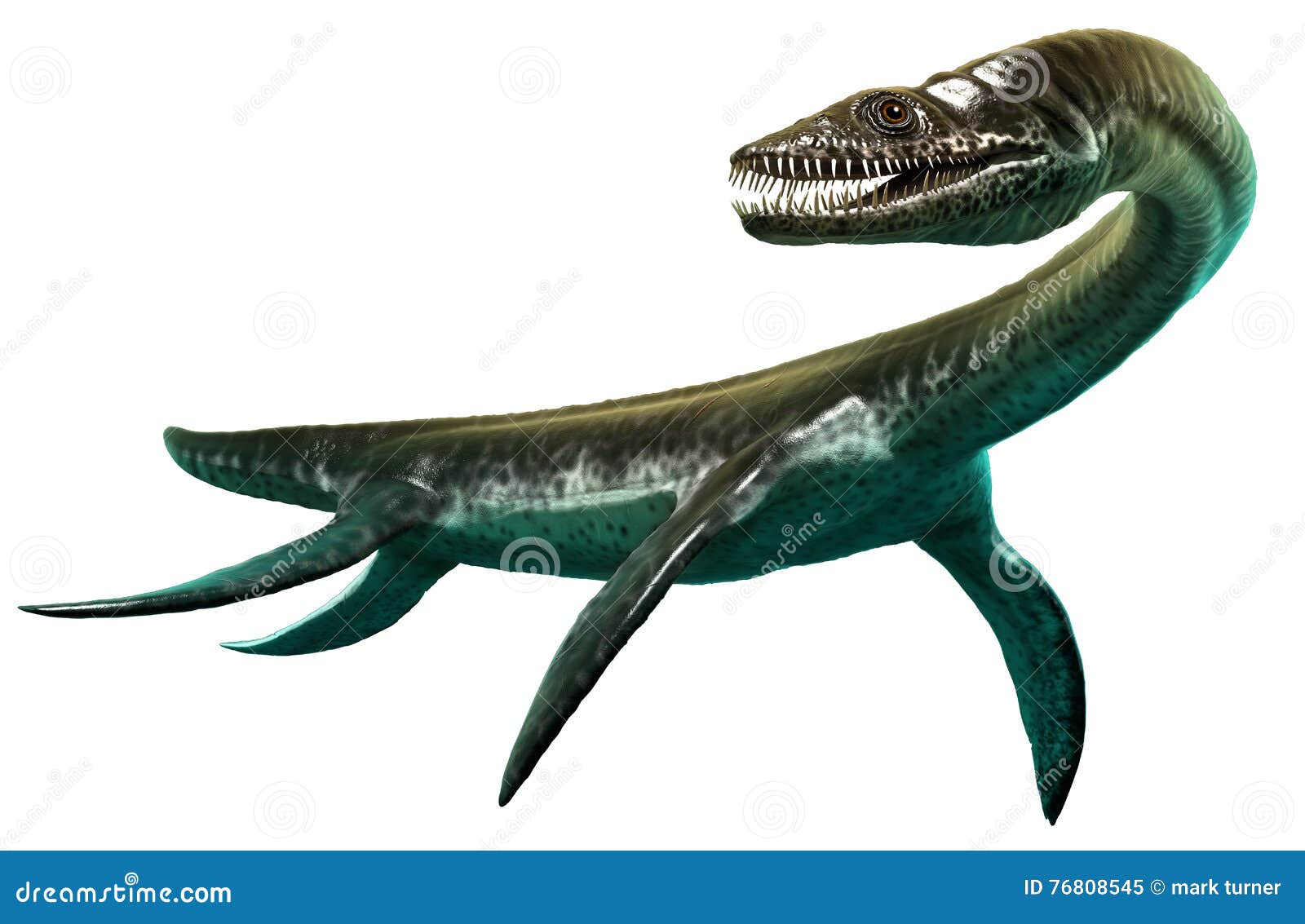 Plesiosaurus 3D Illustration Stock Illustration - Illustration of ...