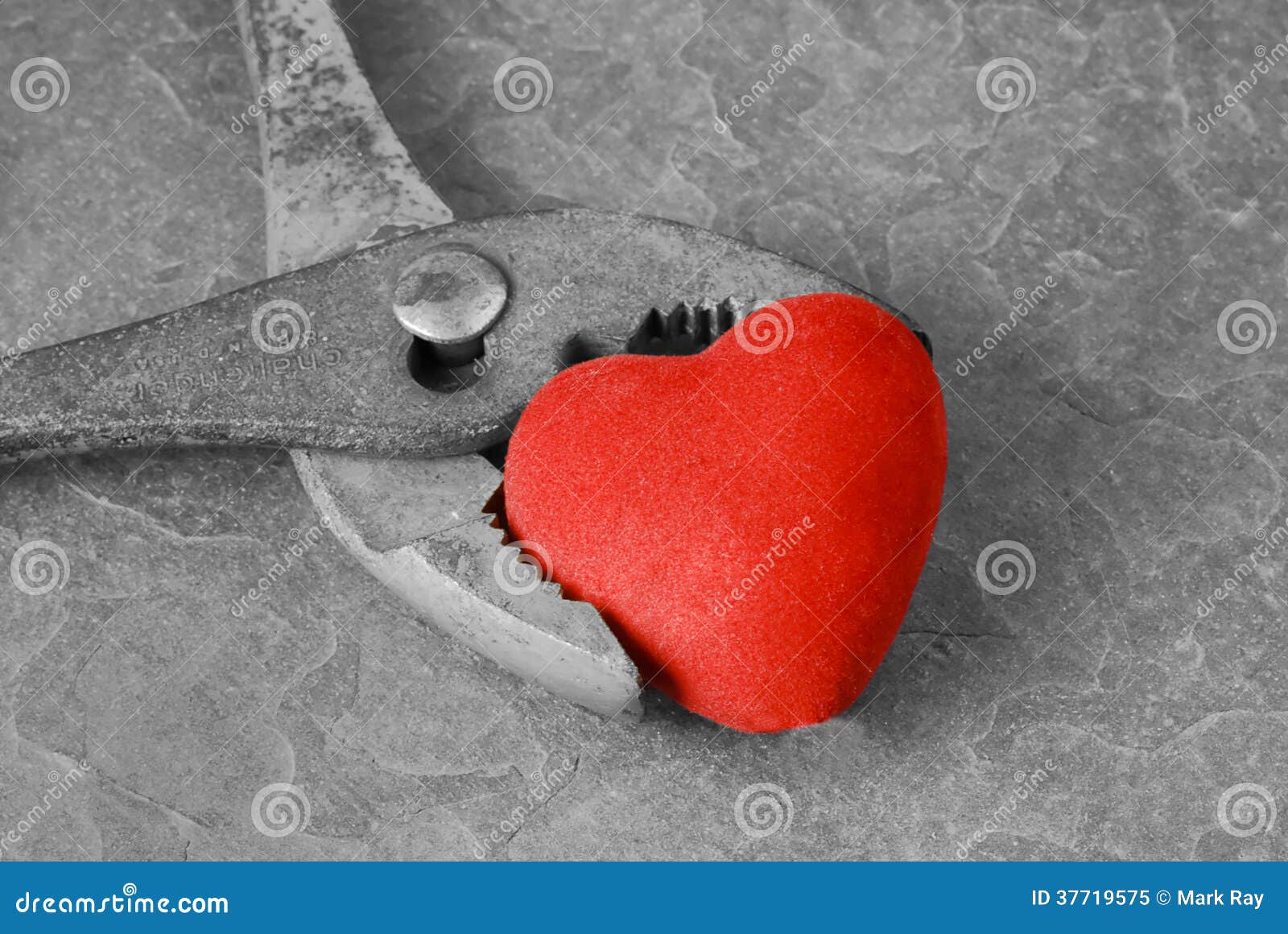 Pliers gripping heart. stock image. Image of crush, hurt - 37719575