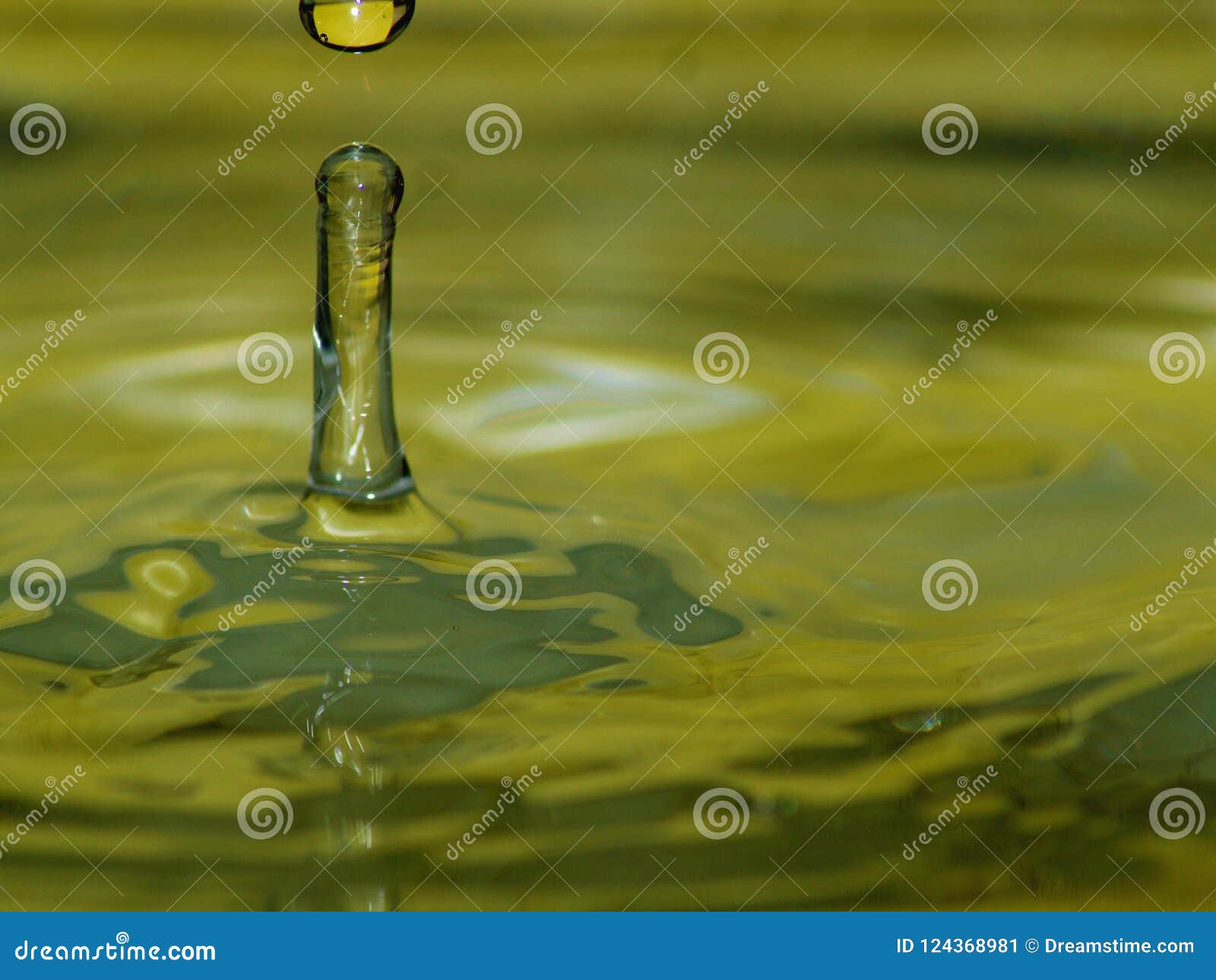 Plink in the Sink stock image. Image of florida, little - 124368981